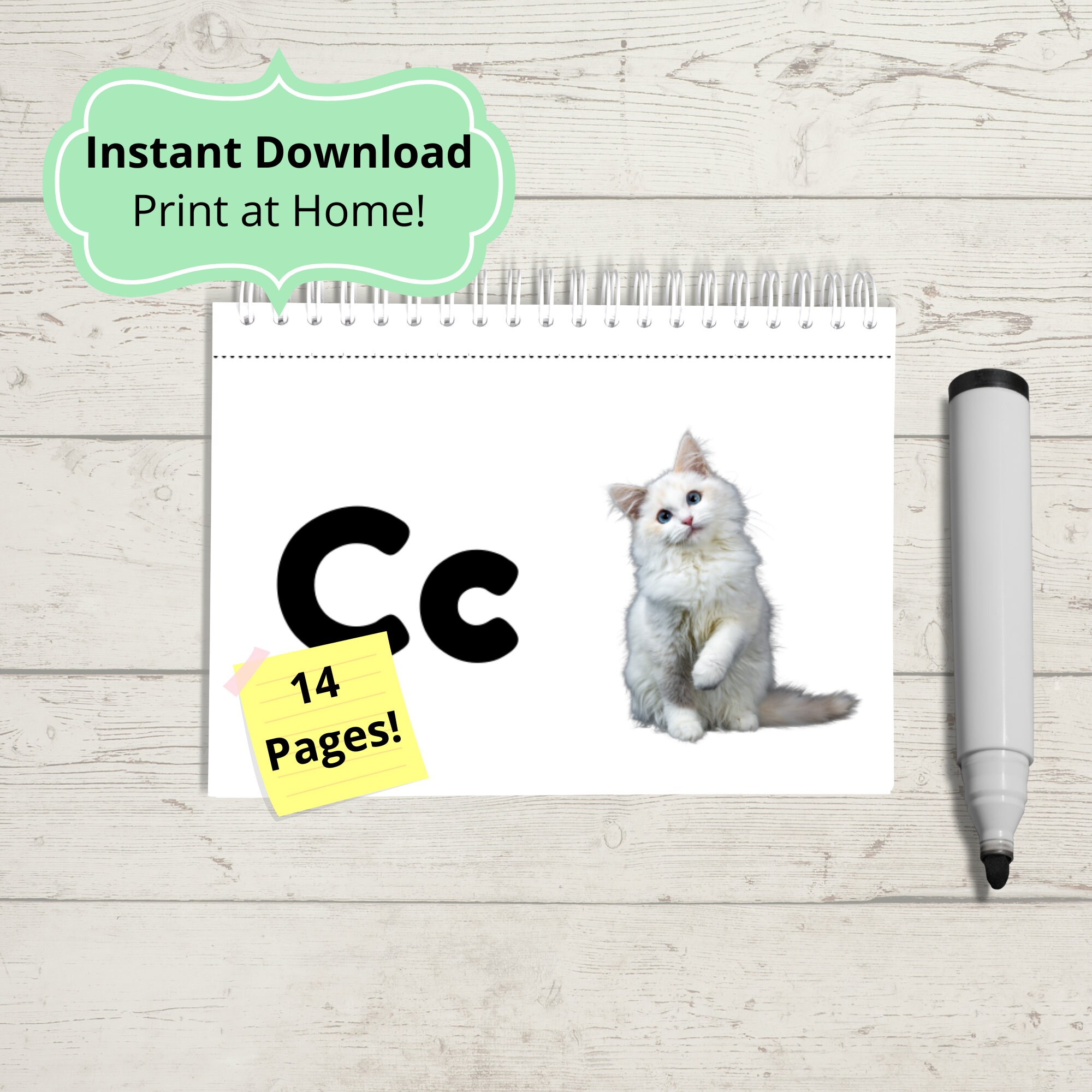 Alphabet Book ABC Printable Abc ABC Books ABC Game - Etsy