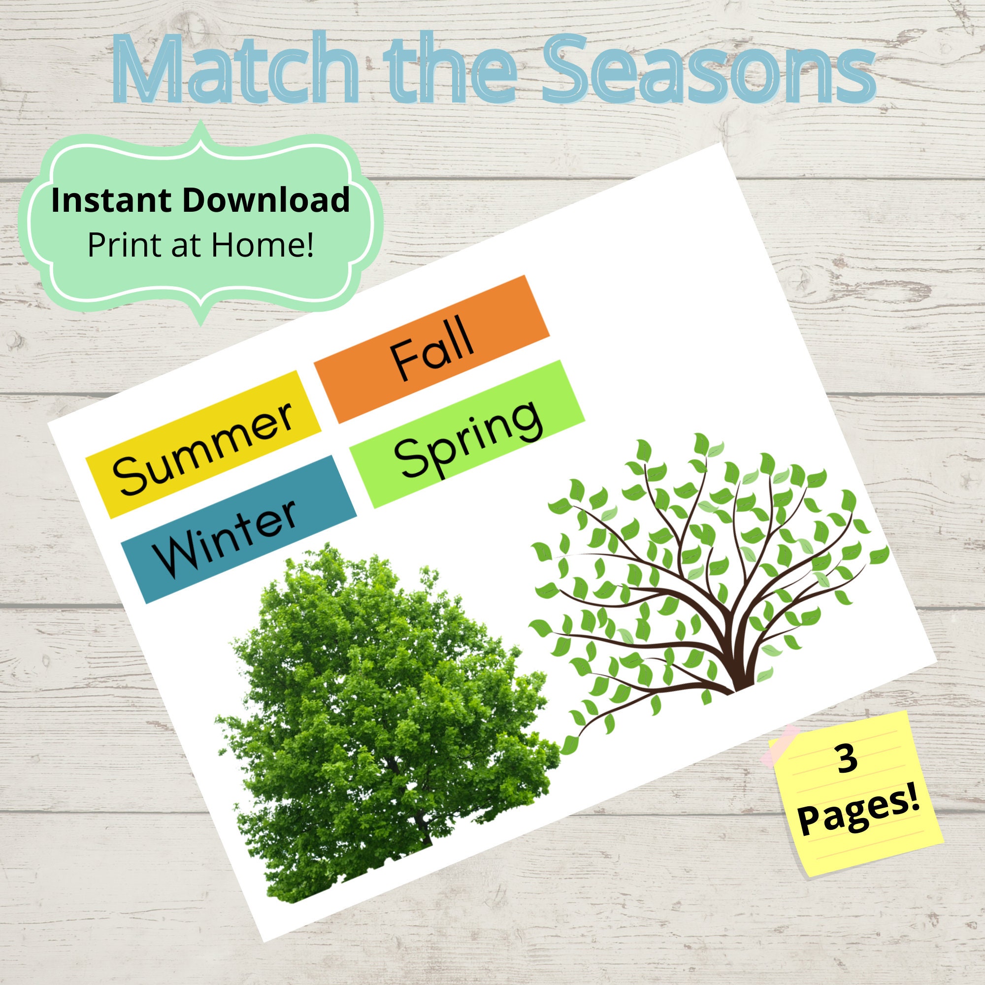 Match the Seasons, Seasons Matching, Seasons Game, Busy Book, Busy ...