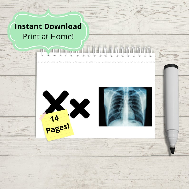 Alphabet Book ABC Printable Abc ABC Books ABC Game - Etsy