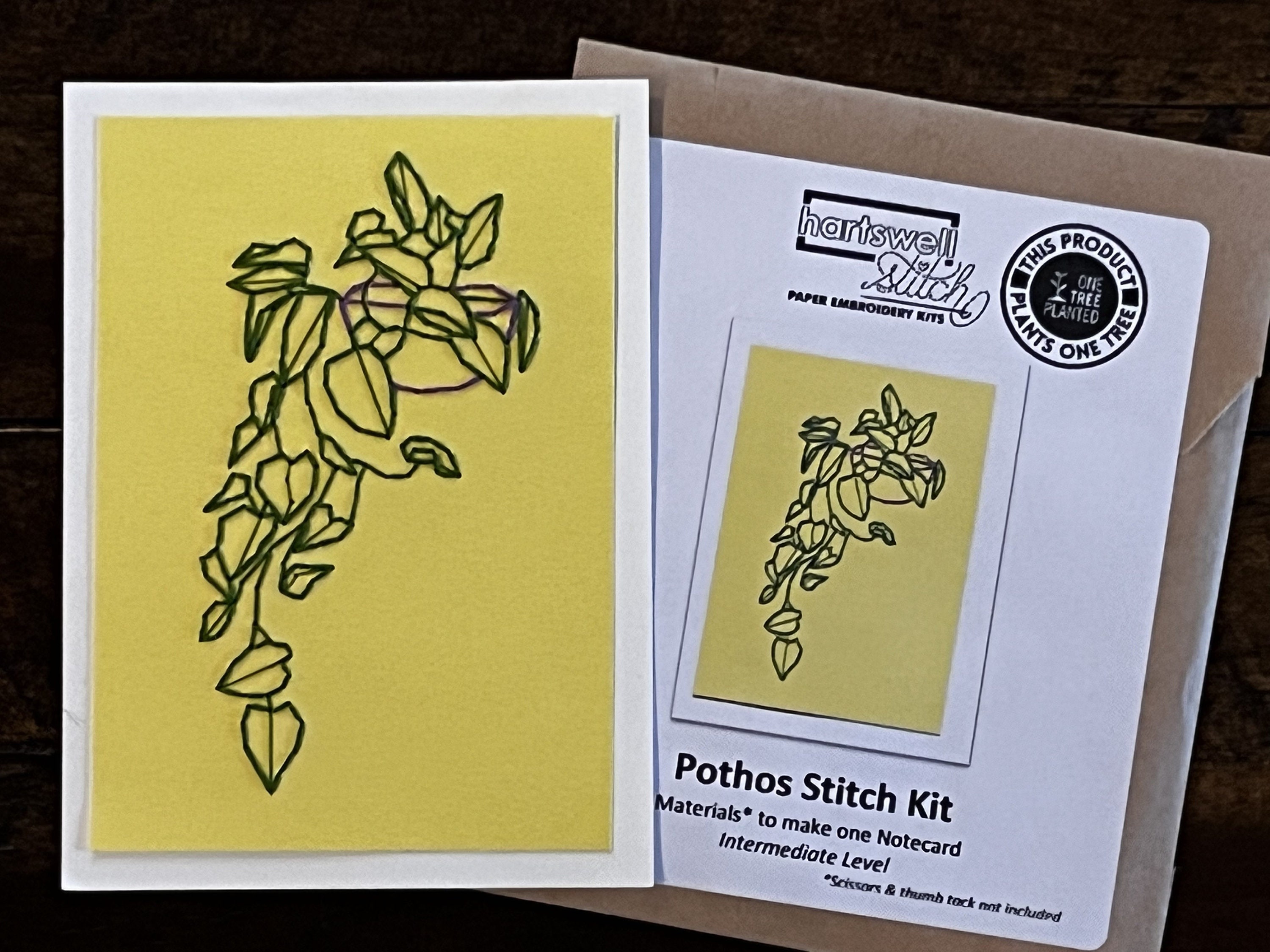 Pothos Plant Embroidery Stitch Kit - Etsy