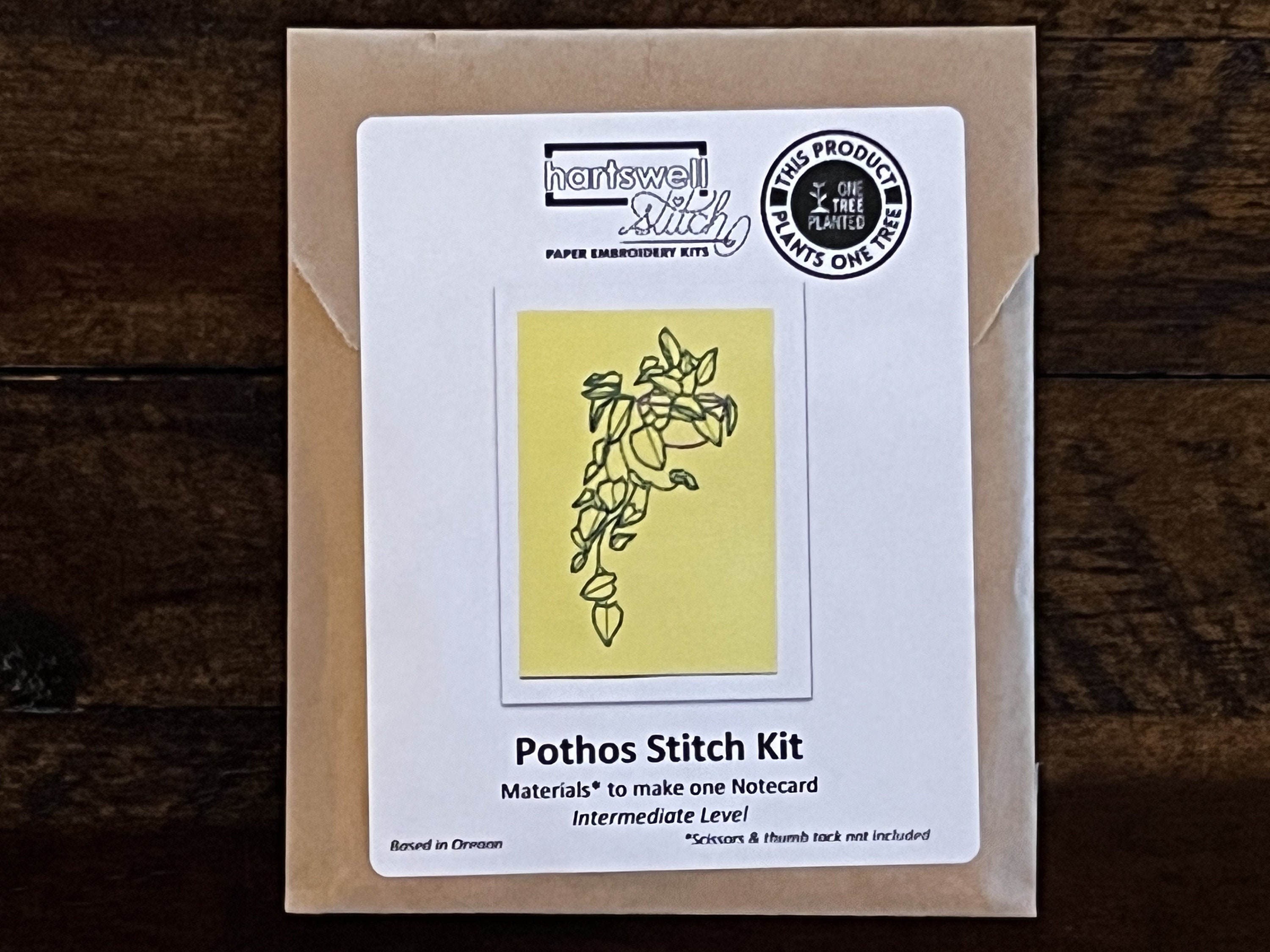 Pothos Plant Embroidery Stitch Kit - Etsy