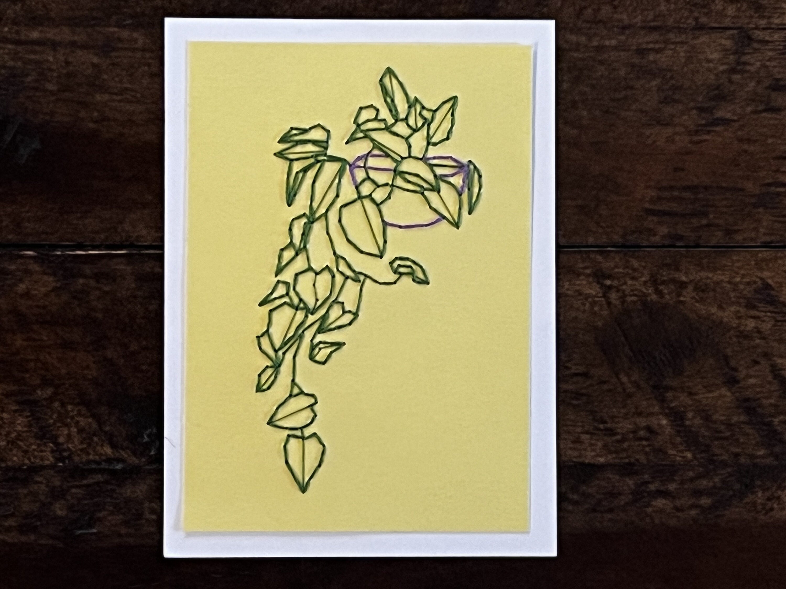 Pothos Plant Embroidery Stitch Kit - Etsy