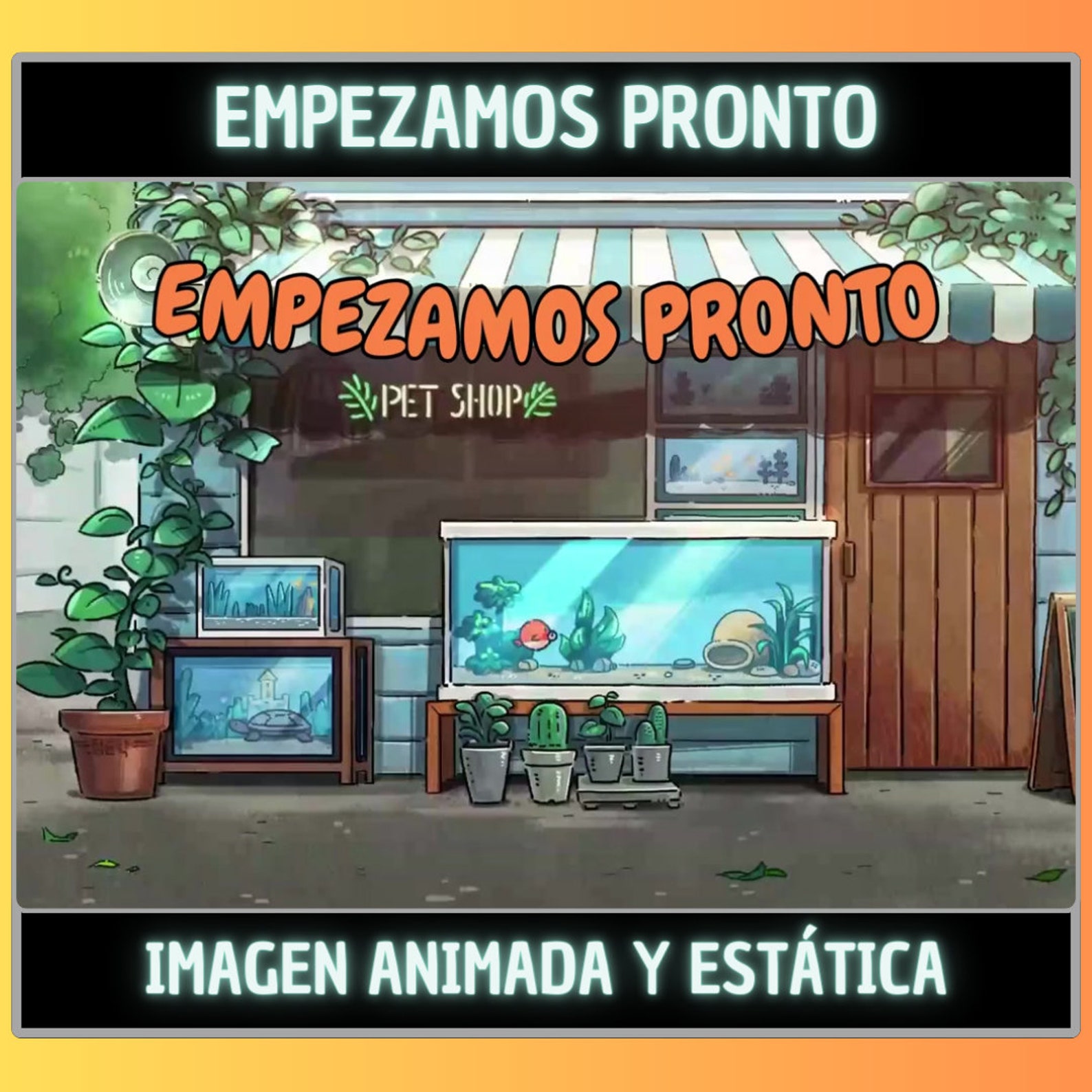 Pack 4 Animated Screens in Spanish, Cute Corgi Dog. Twitch Screens ...