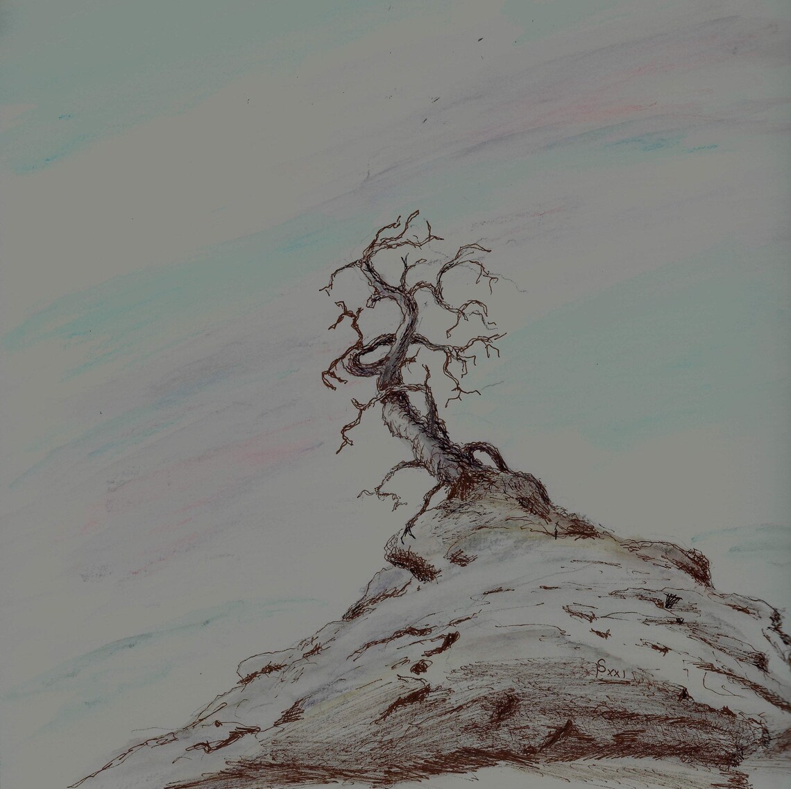 Alpine Tree on Crag in Pen and Ink With Watercolor on Acid Free Paper ...