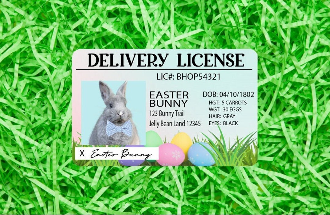 Easter Bunny Driver's License/egg Delivery License/ Surprise for Kids ...