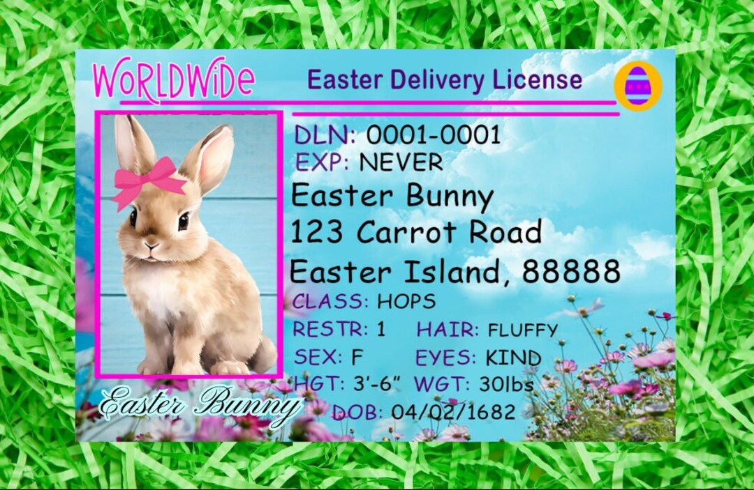 Easter Bunny Driver's License/egg Delivery License/ Surprise for Kids ...