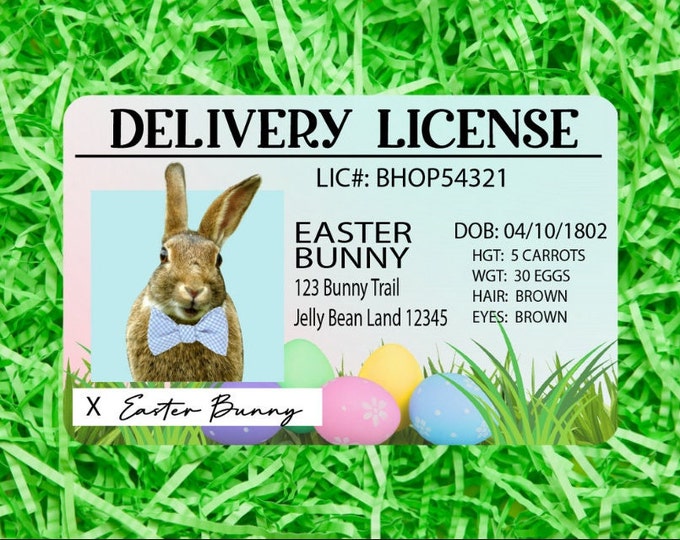 Easter Bunny Driver's License/egg Delivery License/ Surprise for Kids ...