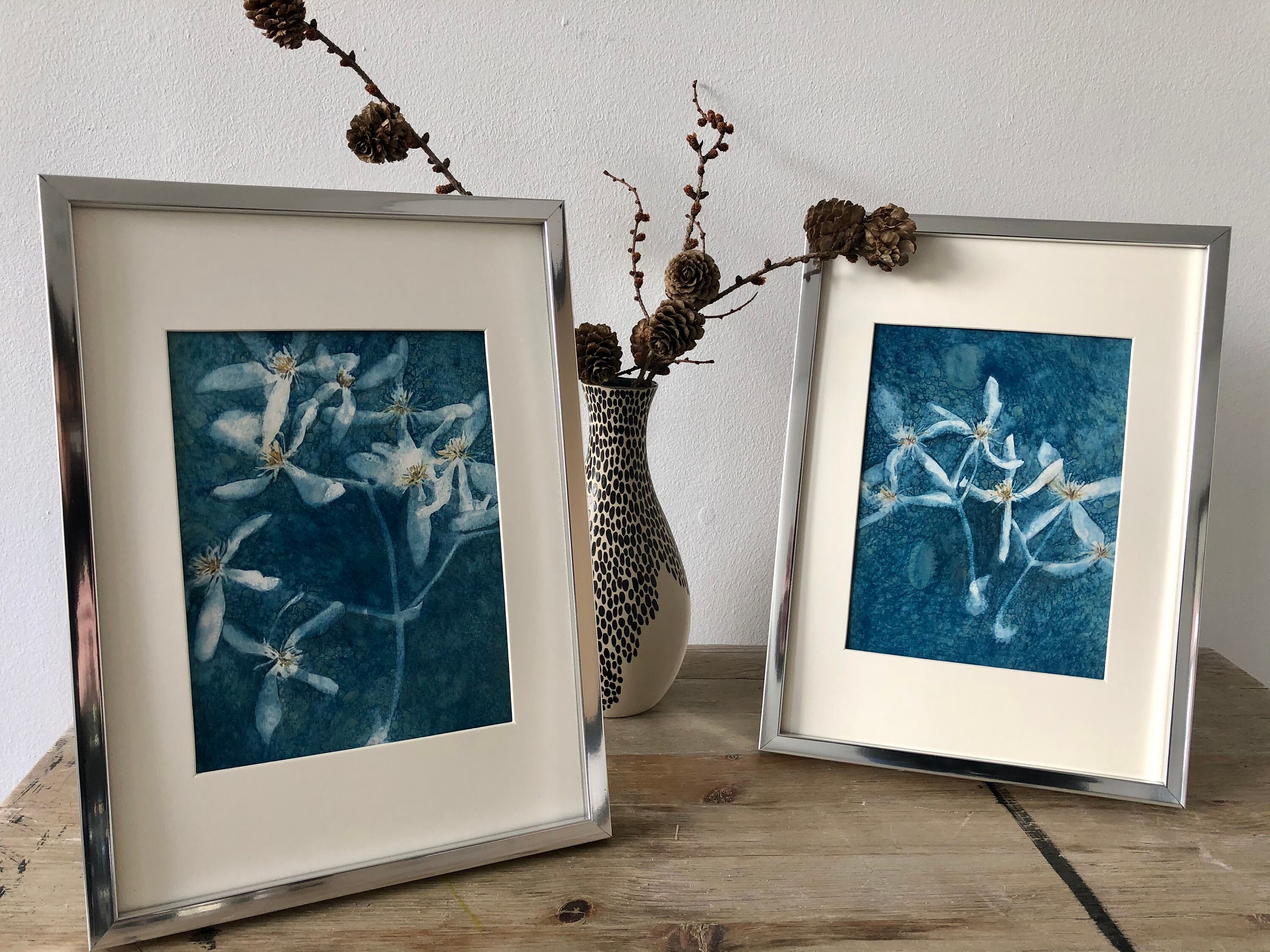 Original Wet Cyanotype Print Clematis, Mixed Media Cyanotype on Paper ...