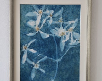 Original Wet Cyanotype Print Clematis, Mixed Media Cyanotype on Paper ...