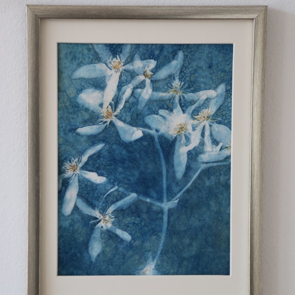 Cyanotype Print - Etsy