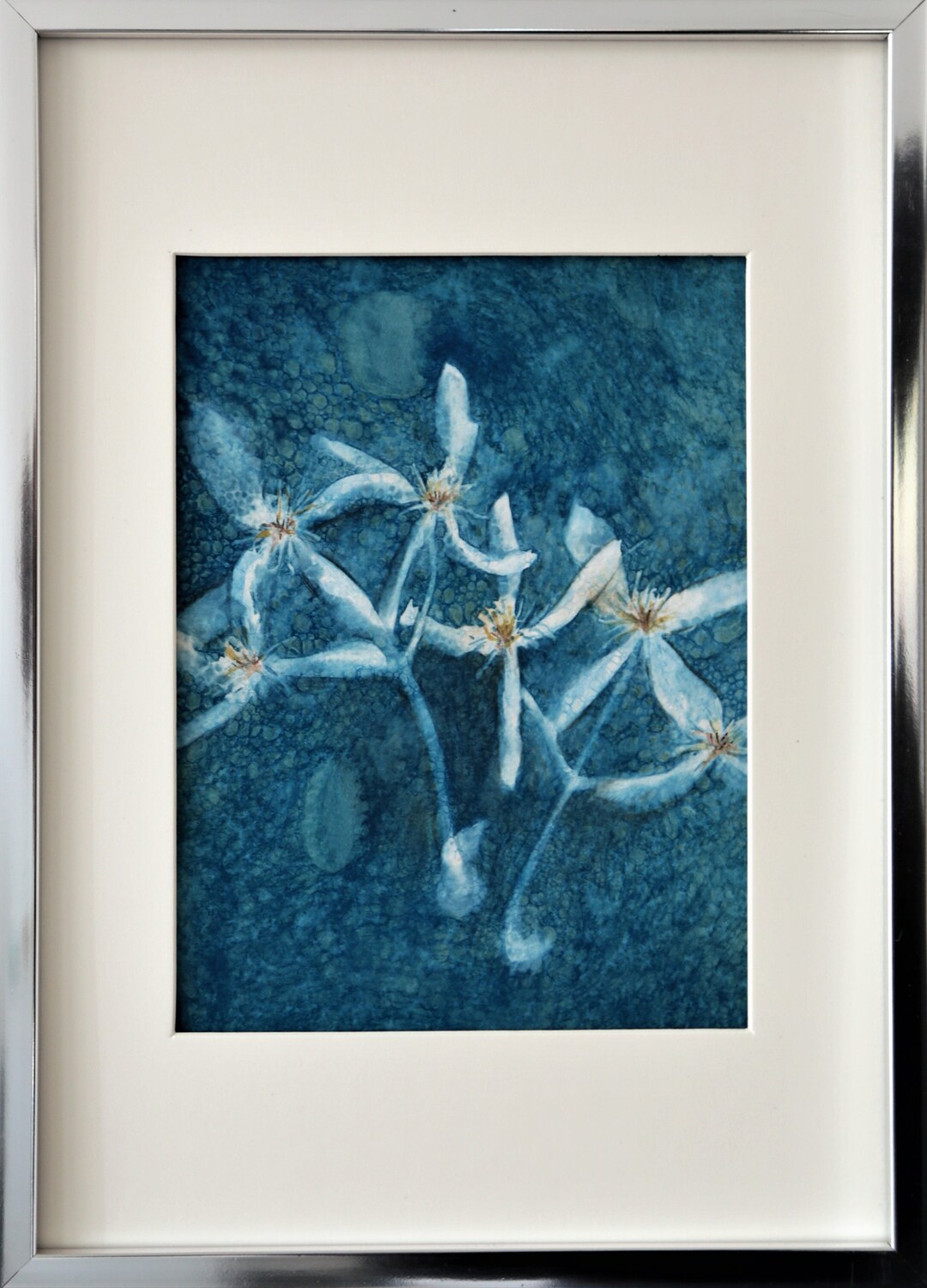 Original Wet Cyanotype Print Clematis, Mixed Media Cyanotype on Paper ...