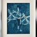 Original Wet Cyanotype Print Clematis, Mixed Media Cyanotype on Paper ...