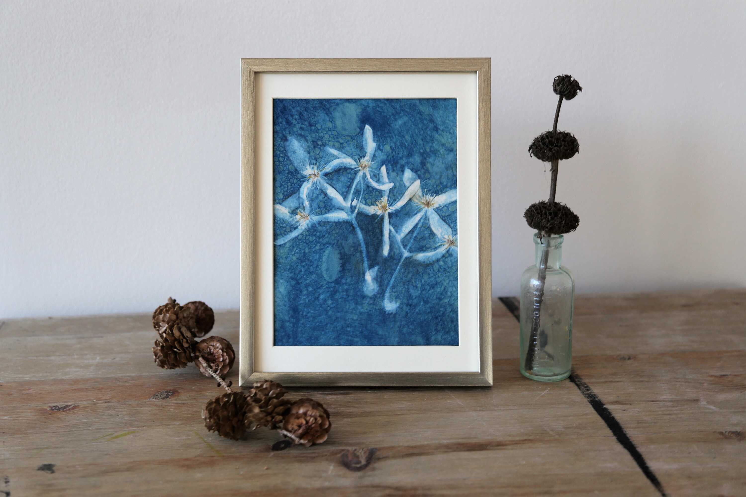 Original Wet Cyanotype Print Clematis, Mixed Media Cyanotype on Paper ...