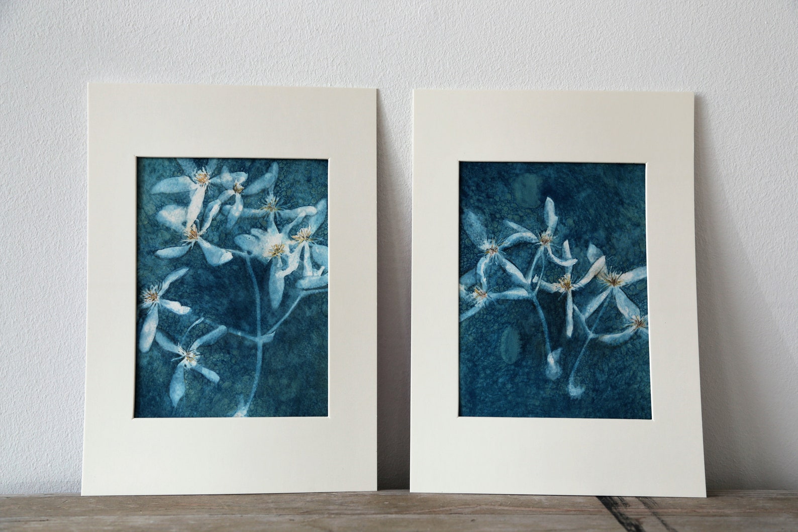 Original Wet Cyanotype Print Clematis, Mixed Media Cyanotype on Paper ...