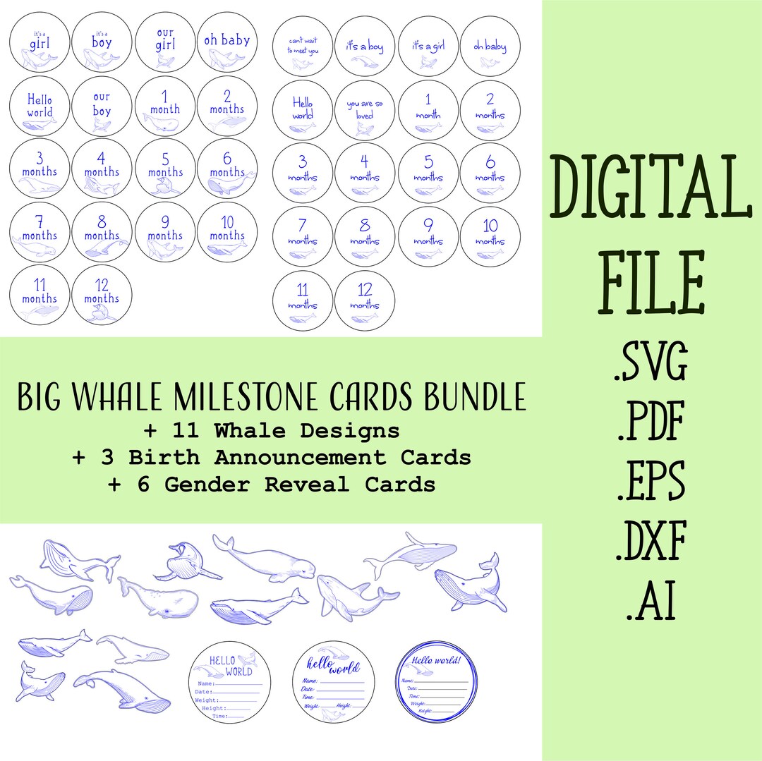Whales Milestone Cards SVG Bundle, Sea Animals Bundle, Nursery Wall ...