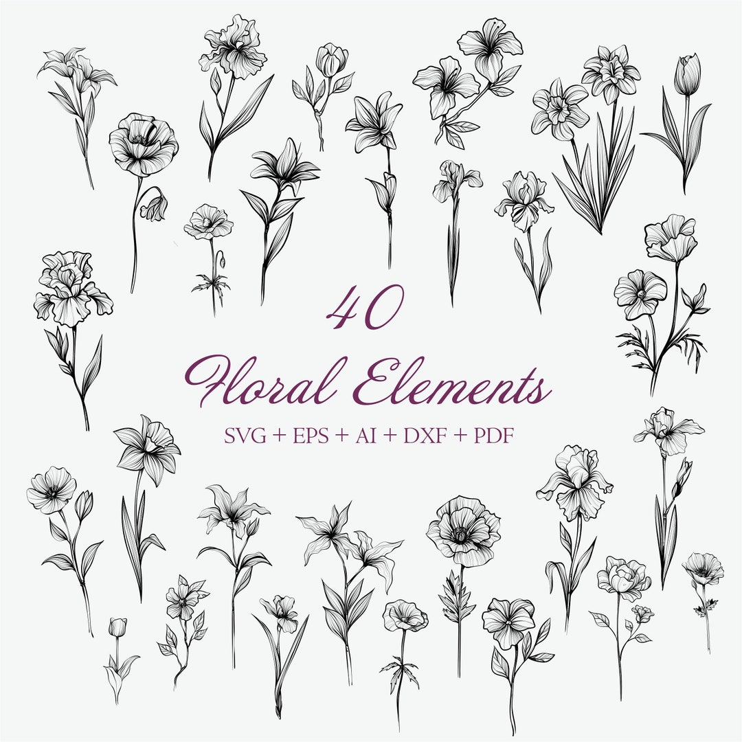 40 Floral Illustrations SVG, Botanical SVG Bundle, Flowers Clipart ...