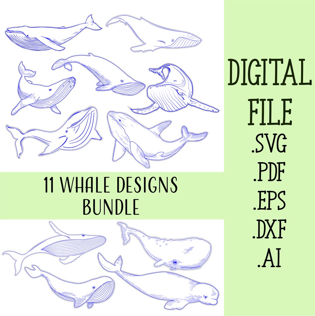 11 Whale Designs SVG Bundle, Sea Animals Bundle, Nursery Wall Decor SVG ...