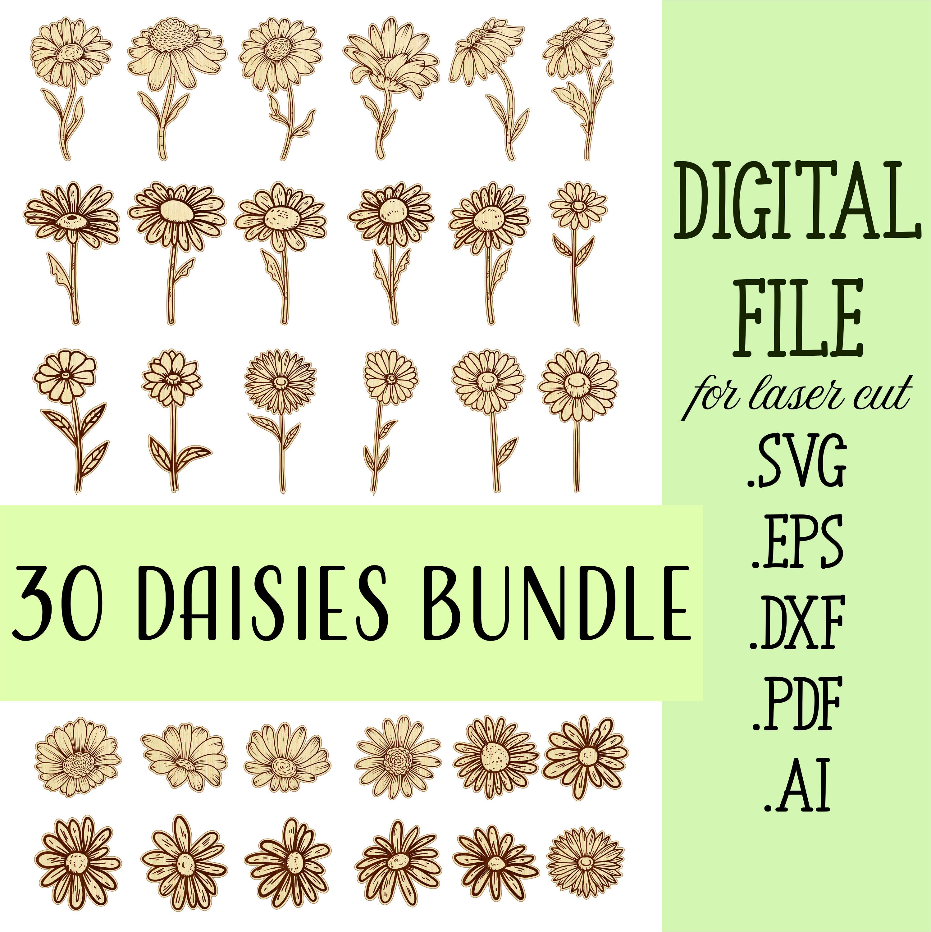 30 Daisies SVG Bundle, Laser Cut Glowforge Cricut Digital Download ...
