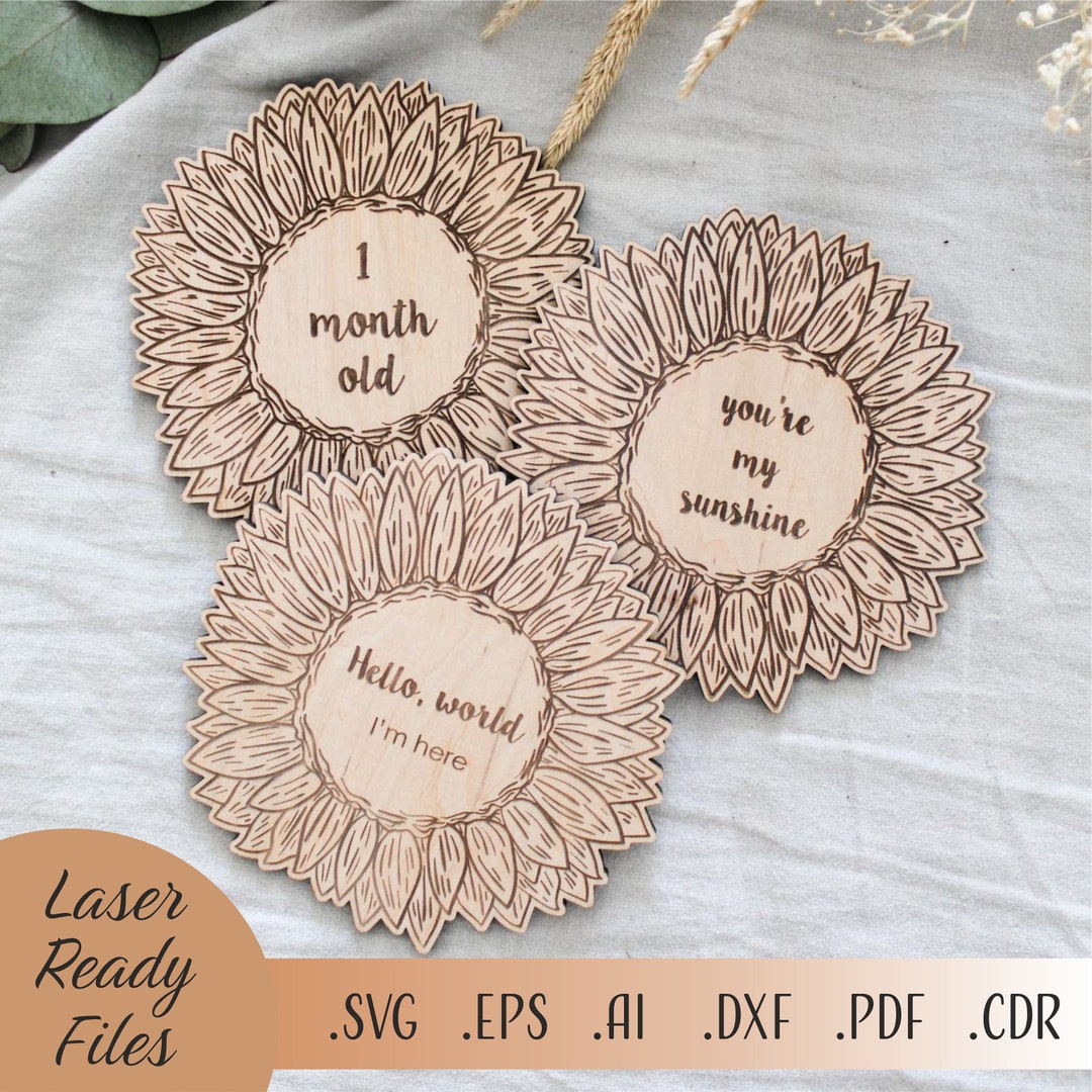 Sunflowers Baby Milestones SVG Bundle, Milestones SVG, Hello World SVG ...