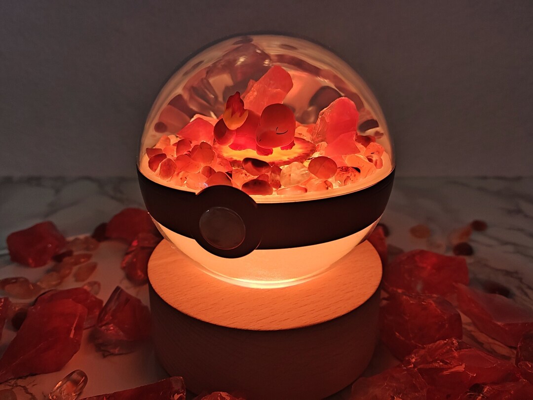 Sleepy Charmander Pokeball Terrarium With USB LED Light Stand Birthday ...