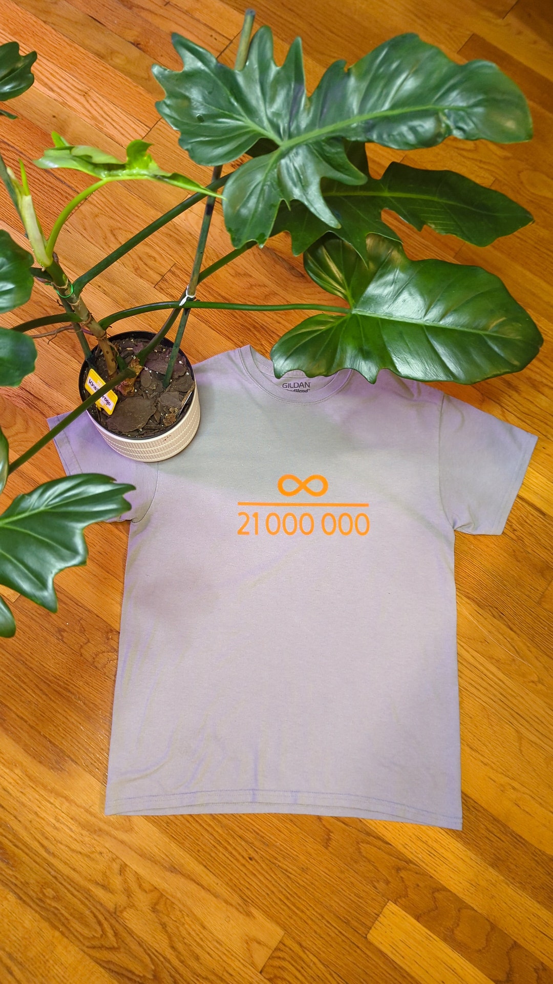 Everything Divided by 21,000,000 Graphic Gray Gildan Dryblend Tshirt ...