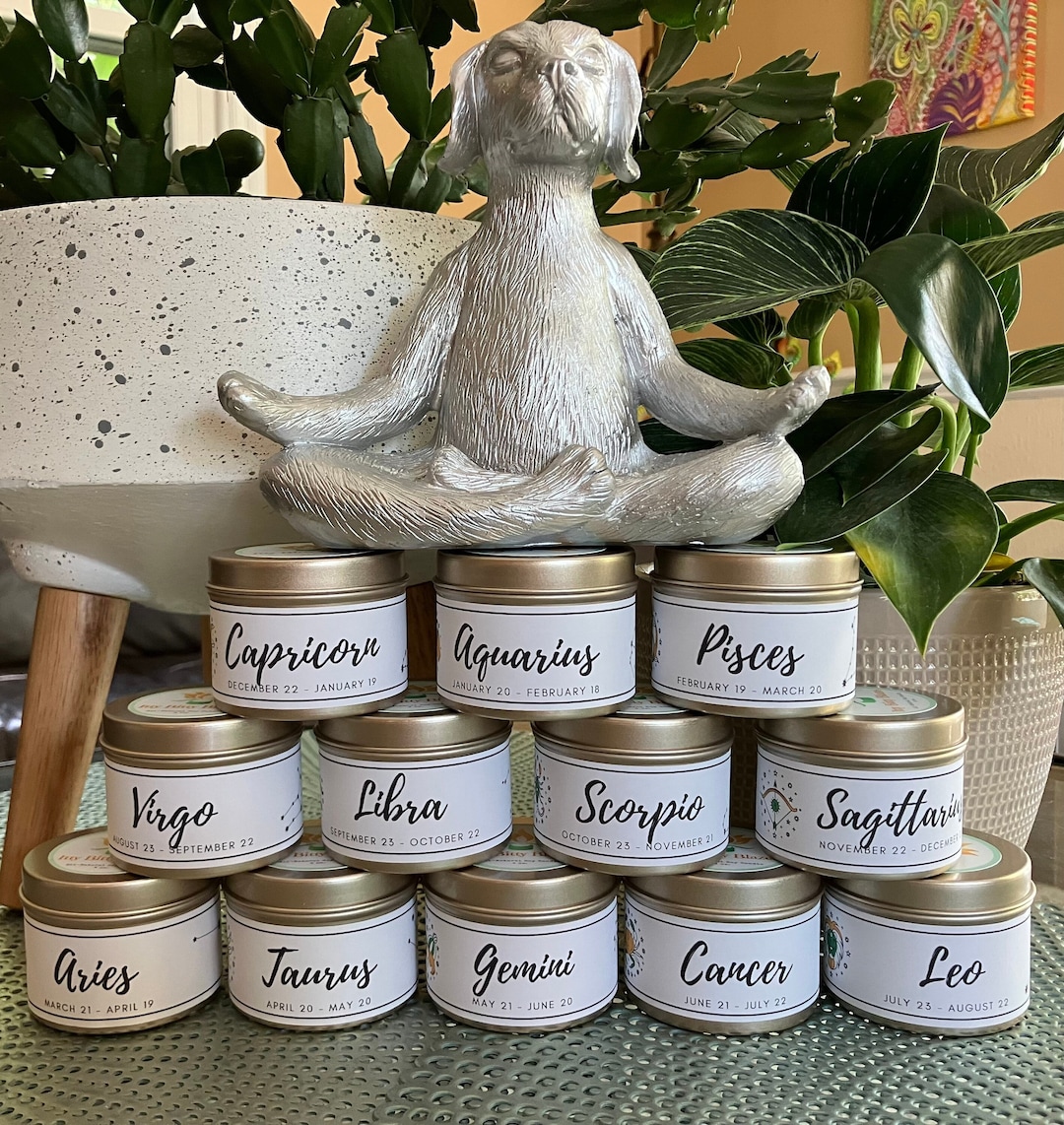 Zodiac Candle Astrology Candle Sun Sign Candle Birthday Candle ...