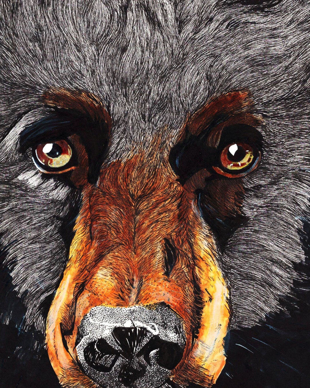Black Bear | Art Print | Pen and Ink Drawing | North American Wildlife ...