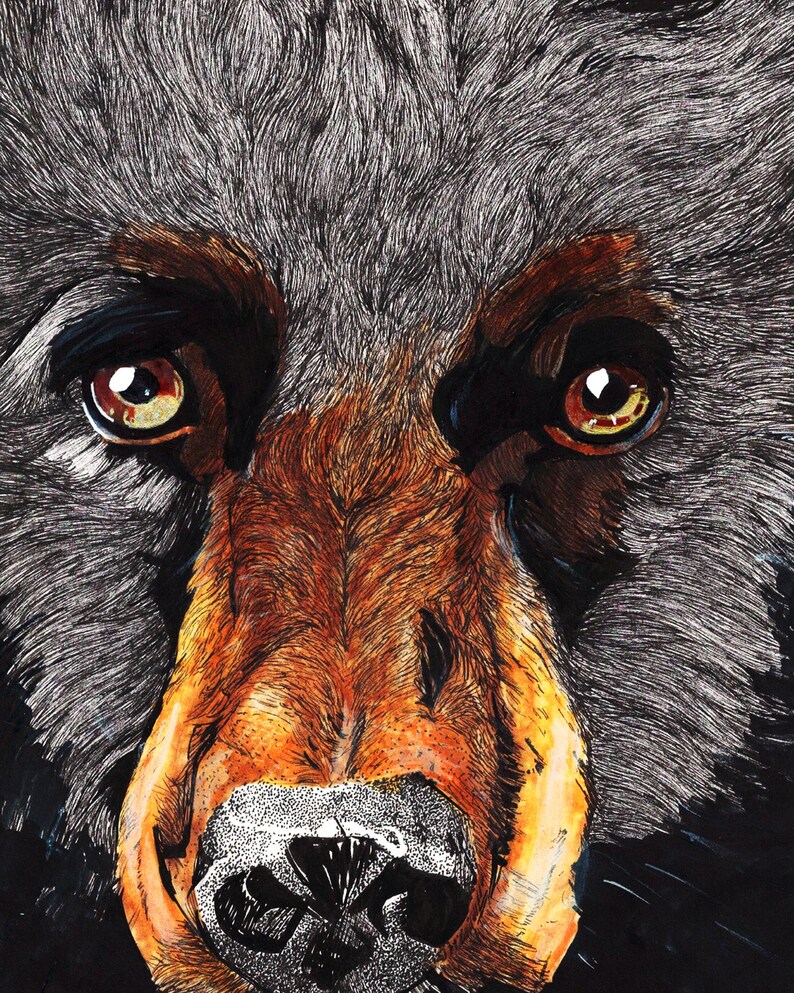 Black Bear Art Print Pen and Ink Drawing North American Wildlife - Etsy