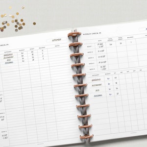 Weekly Budget Check-in | A4, US Letter Printable Planner Inserts ...