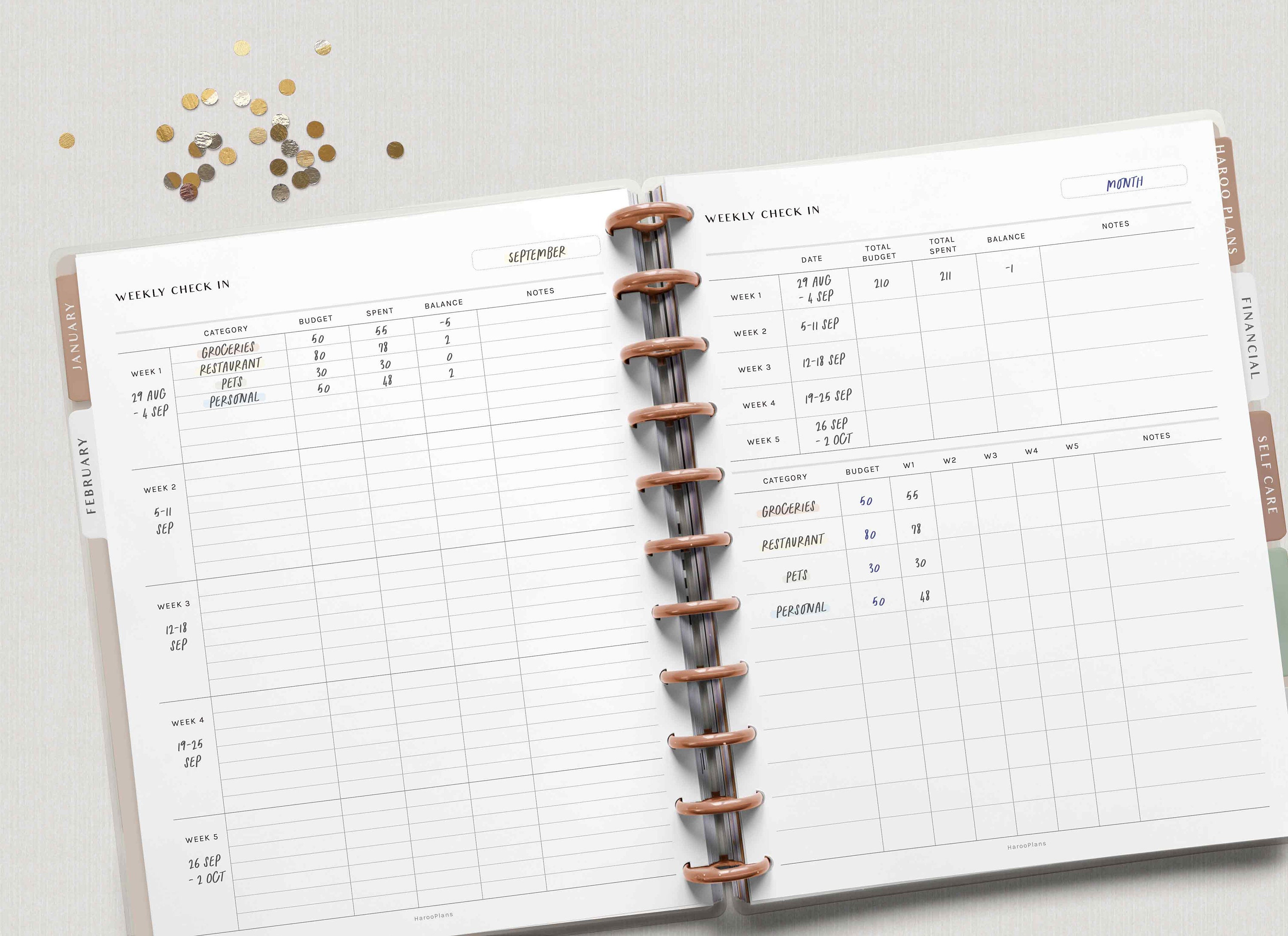 Weekly Budget Check-in | A4, US Letter Printable Planner Inserts ...