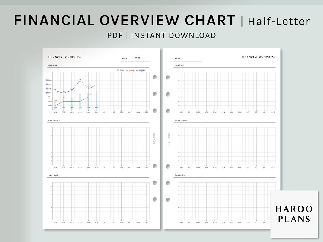 Financial Overview Chart | Half-letter Printable Planner Inserts ...