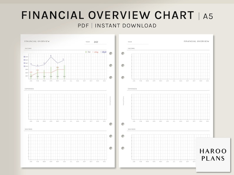 Financial Overview Chart A5 Printable Planner Inserts - Etsy