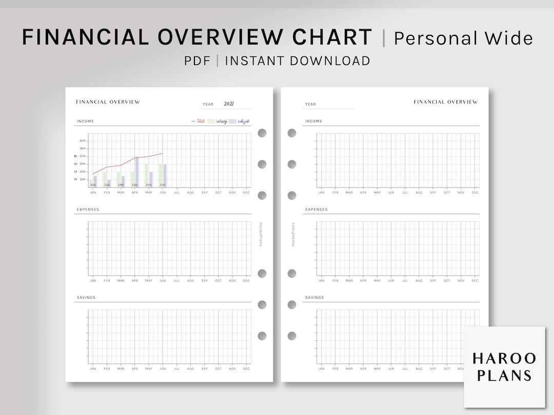 Financial Overview Chart | Personal Wide Size Printable Planner Inserts ...