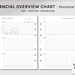 Financial Overview Chart | Personal Wide Size Printable Planner Inserts ...