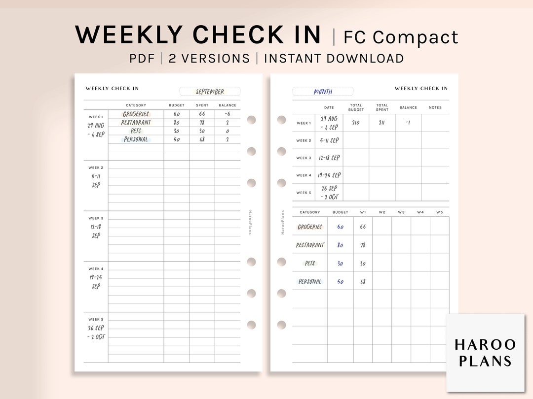 Weekly Budget Check-in | FC Compact Printable Planner Inserts ...