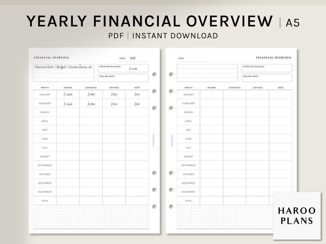 Yearly Financial Overview | A5 Printable Planner Inserts | Annual ...
