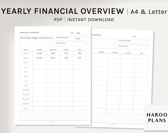 A4 US Letter Yearly Financial Overview Printable - Etsy