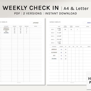 Weekly Budget Check-in | A4, US Letter Printable Planner Inserts ...