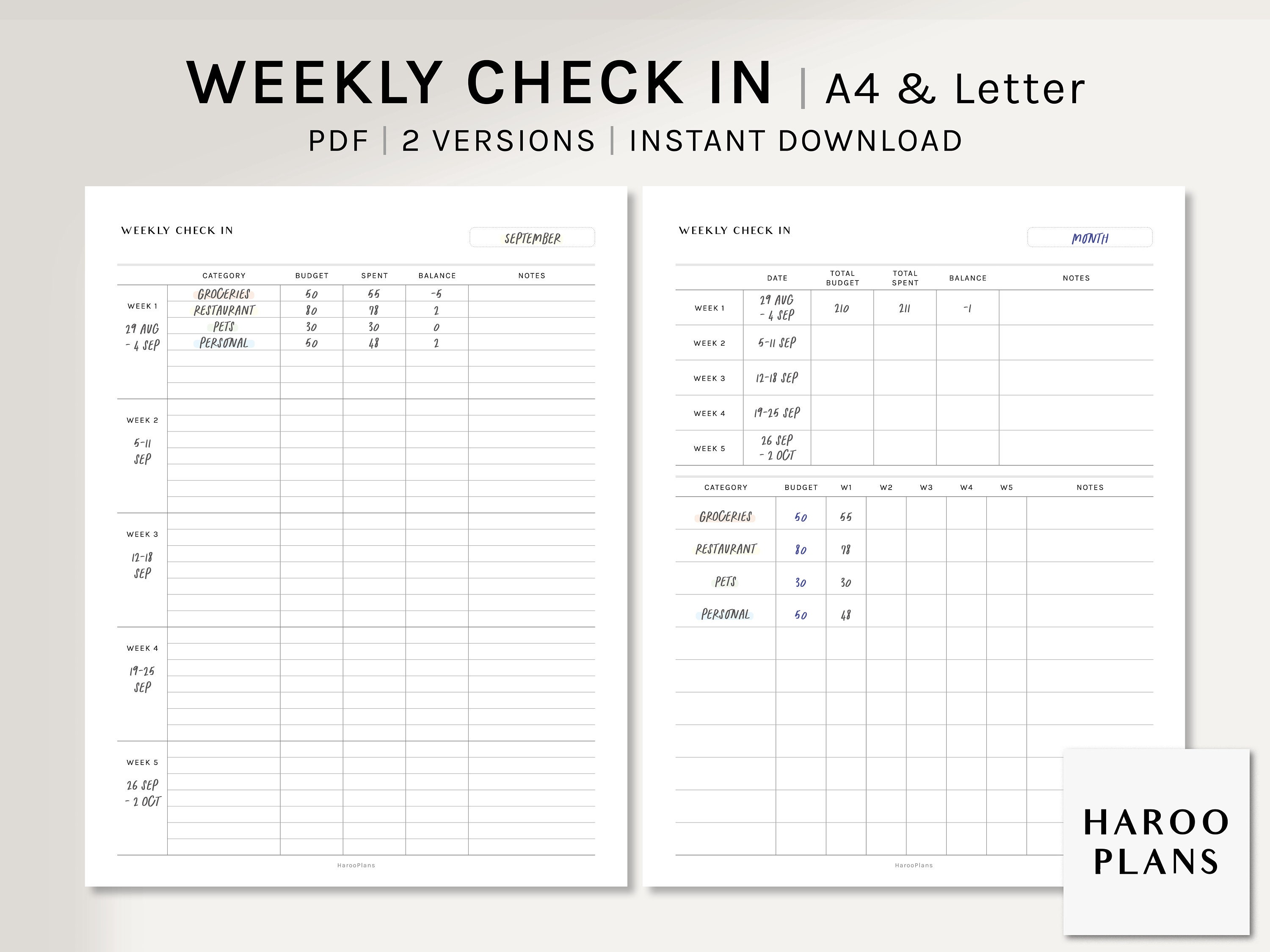 Weekly Budget Check-in | A4, US Letter Printable Planner Inserts ...