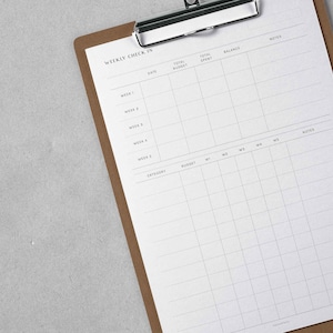 Weekly Budget Check-in | A4, US Letter Printable Planner Inserts ...