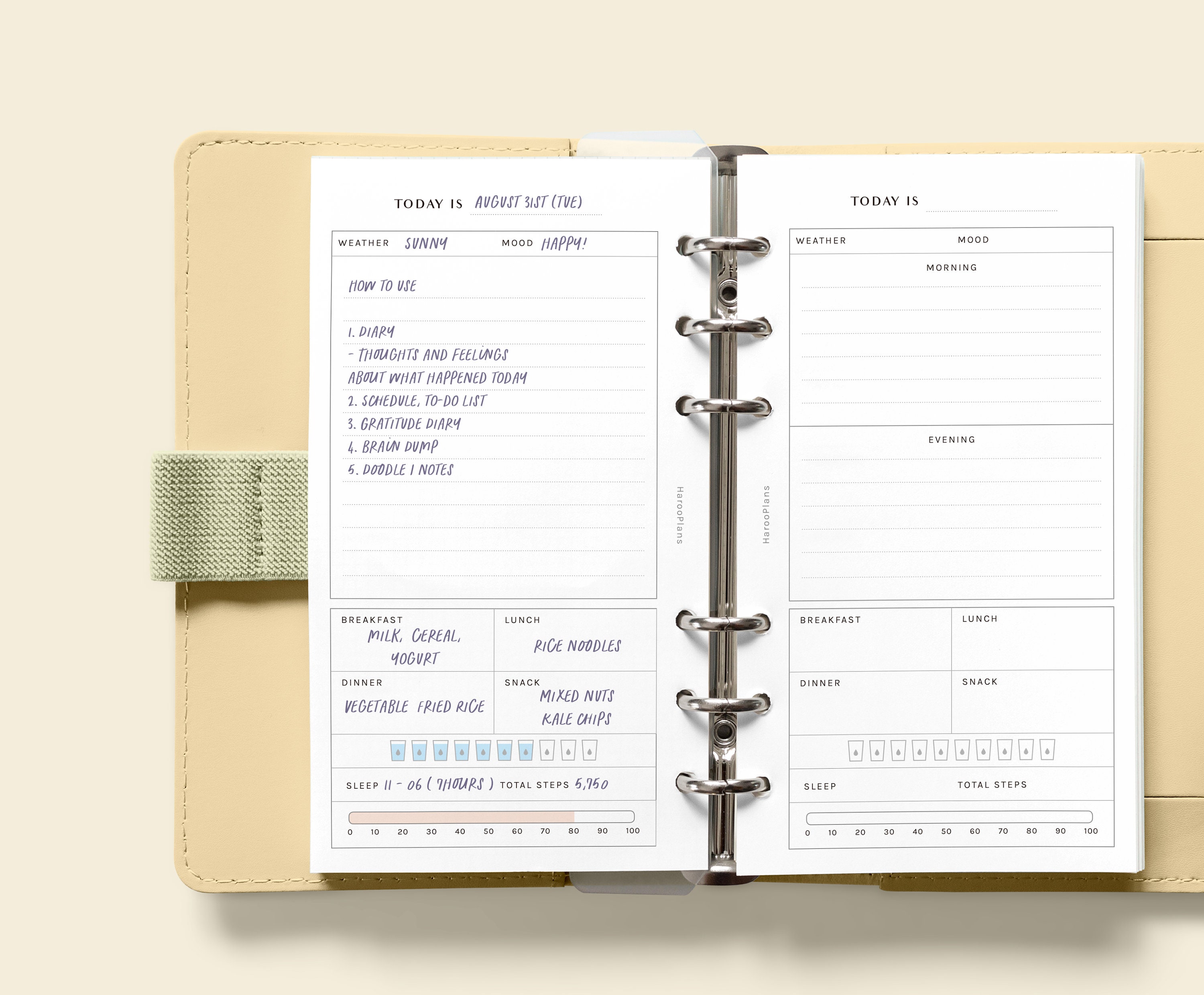 Daily Diary Personal Ring Printable Planner Inserts Idea - Etsy