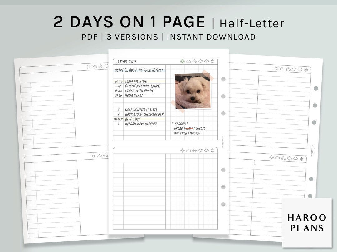 2 Days on 1 Page | Half-letter Printable Planner Inserts | 2D1P Daily ...