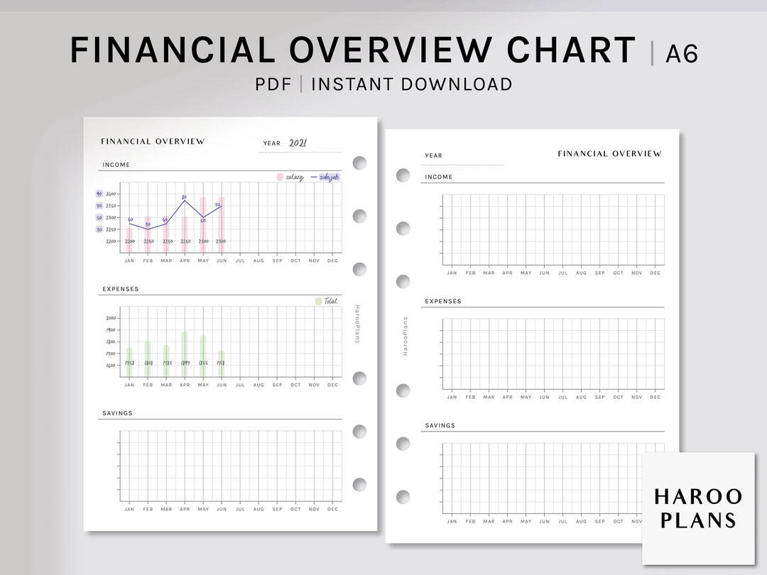 Financial Overview Chart | A6 Printable Planner Inserts | Yearly Budget ...