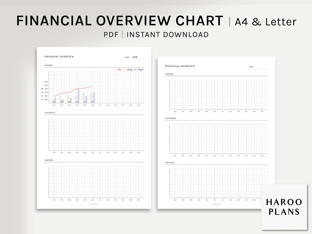Financial Overview Chart | A4, US Letter Printable Planner Inserts ...