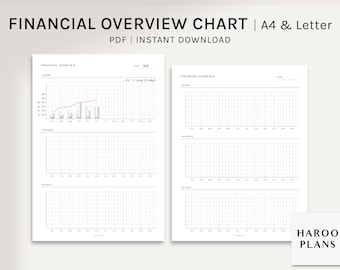 A4 US Letter Yearly Financial Overview Printable - Etsy