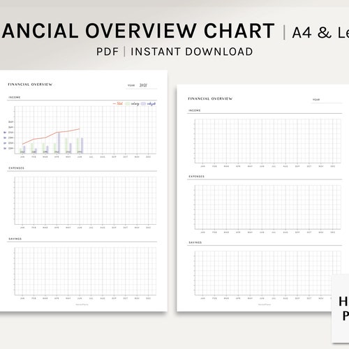 Yearly Financial Overview A4 US Letter Printable Planner - Etsy