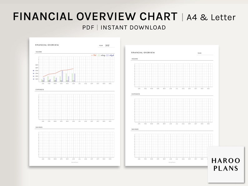 Financial Overview Chart | A4, US Letter Printable Planner Inserts ...