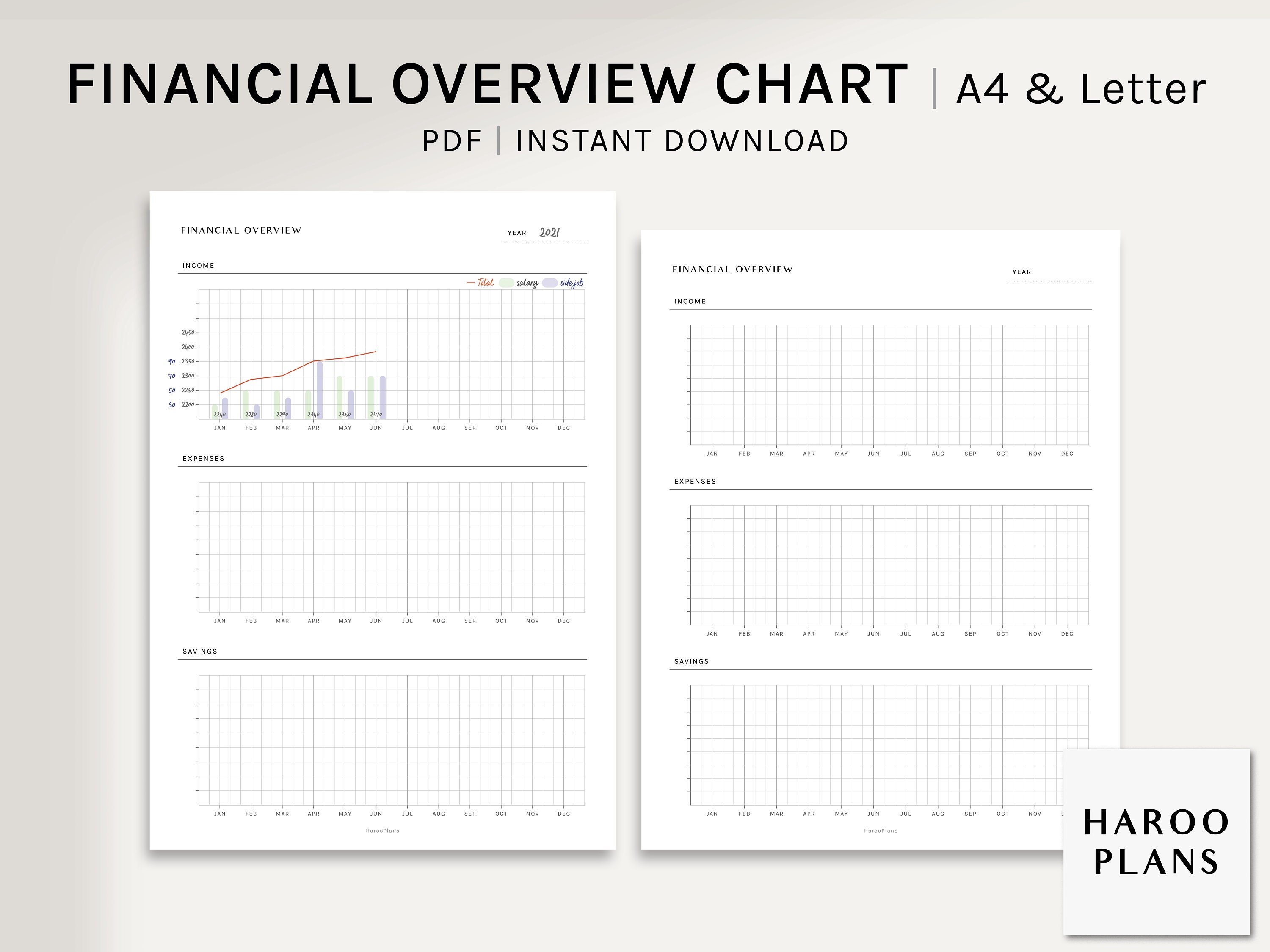 Financial Overview Chart A4 US Letter Printable Planner - Etsy