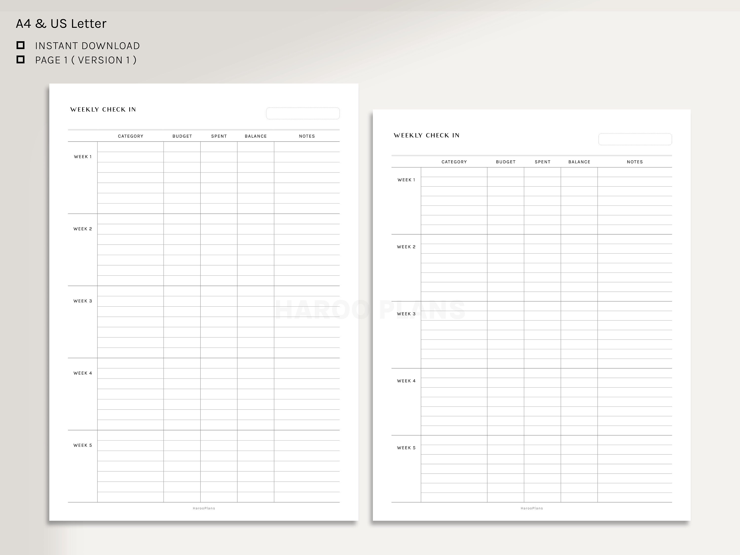 Weekly Budget Check-in | A4, US Letter Printable Planner Inserts ...