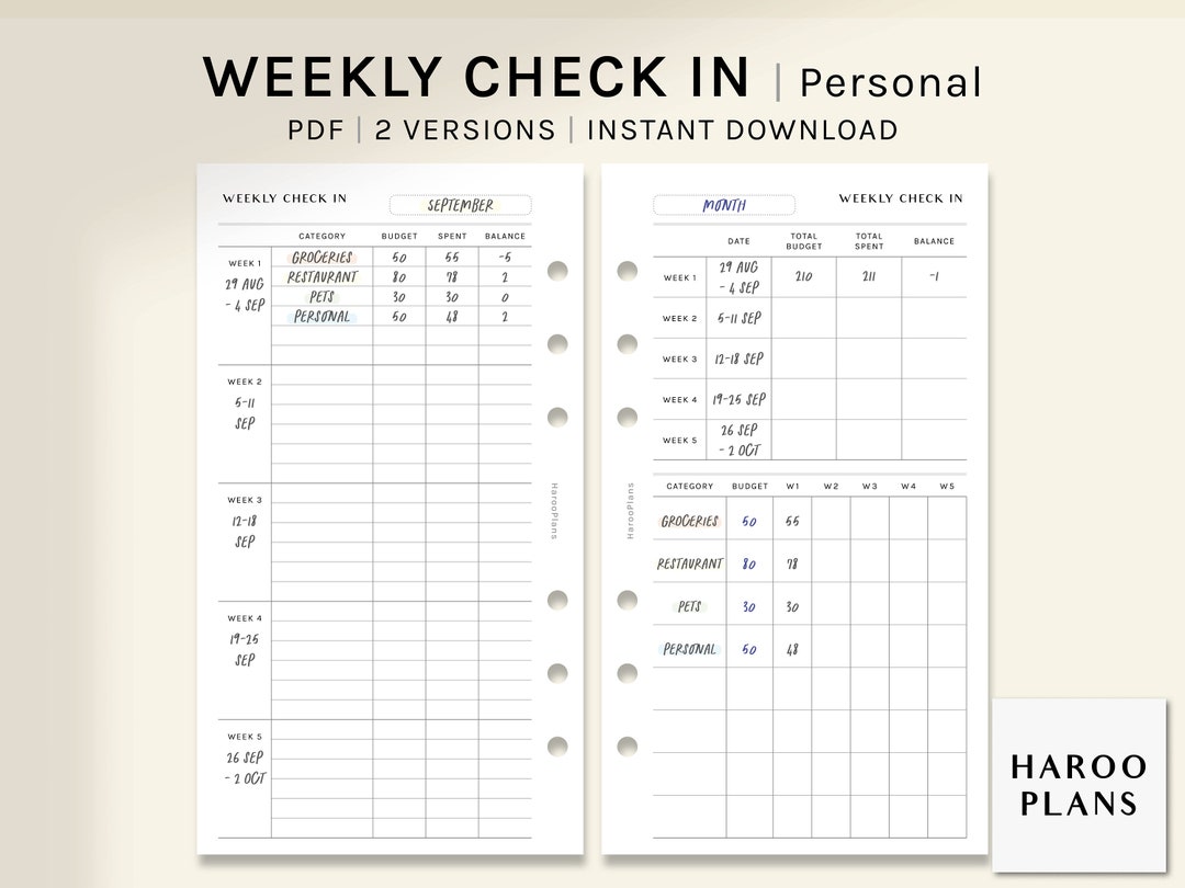 Weekly Budget Check-in | Personal Printable Planner Inserts | Financial ...